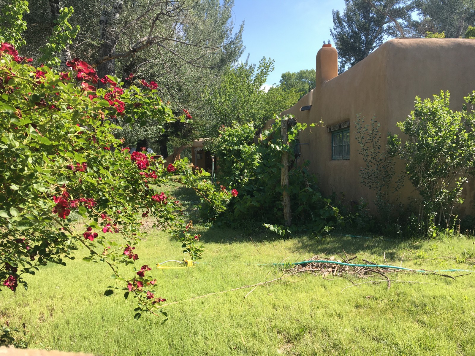 T oday it is very common for casitas to be rented out as homes to other ...